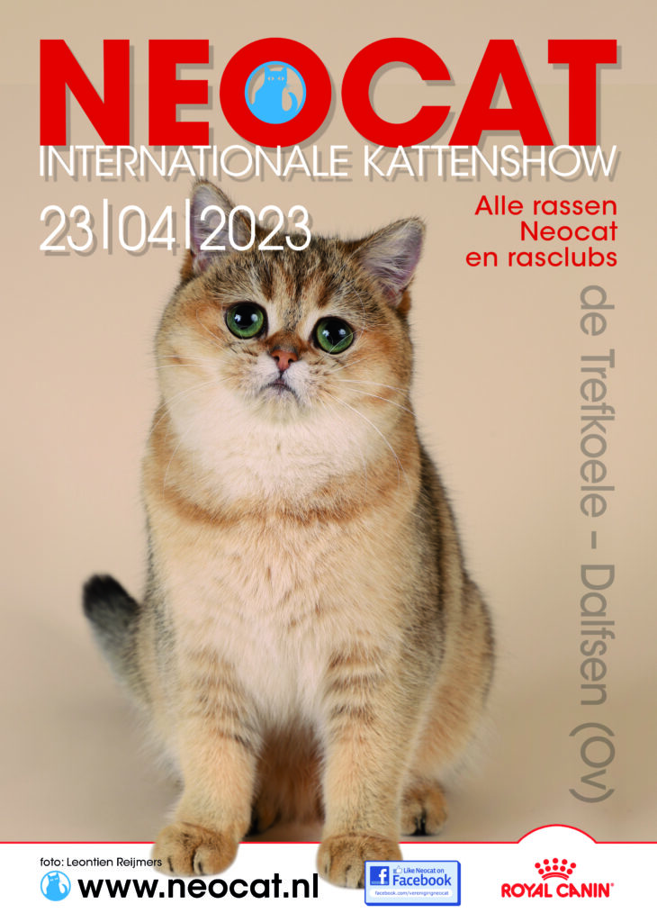 Neocat.nl