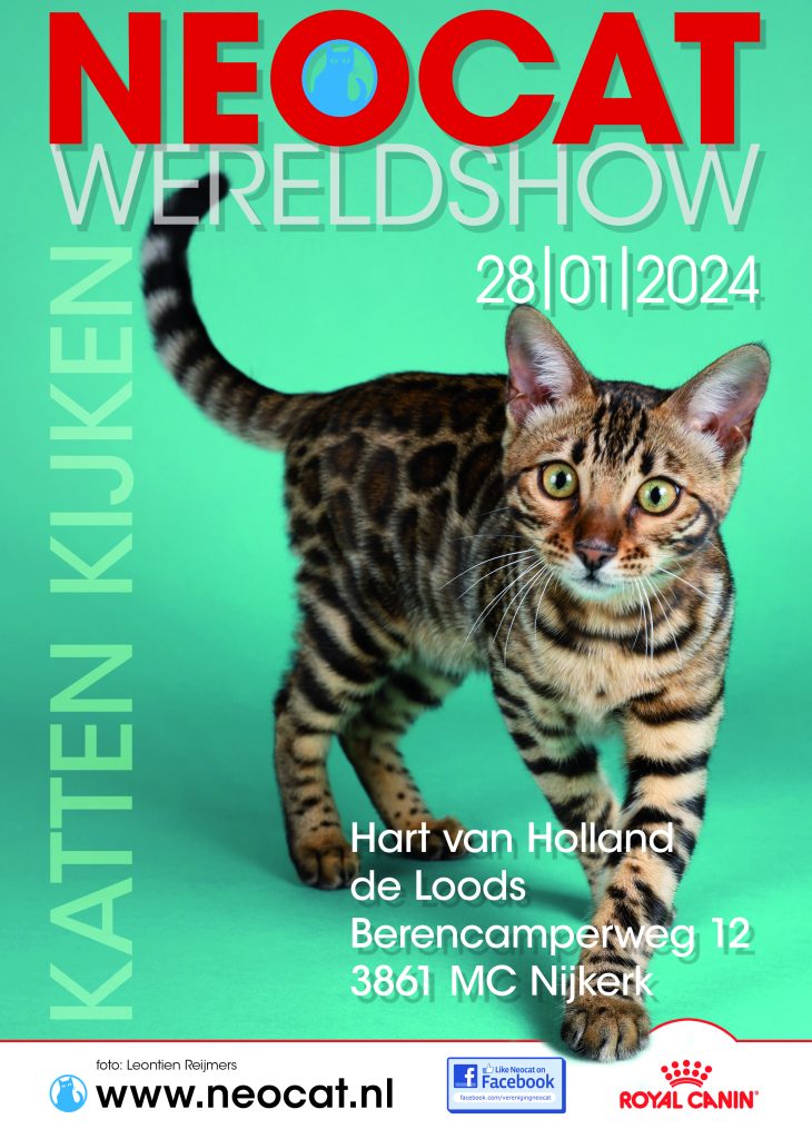 Nieuwtjes | Neocat.nl