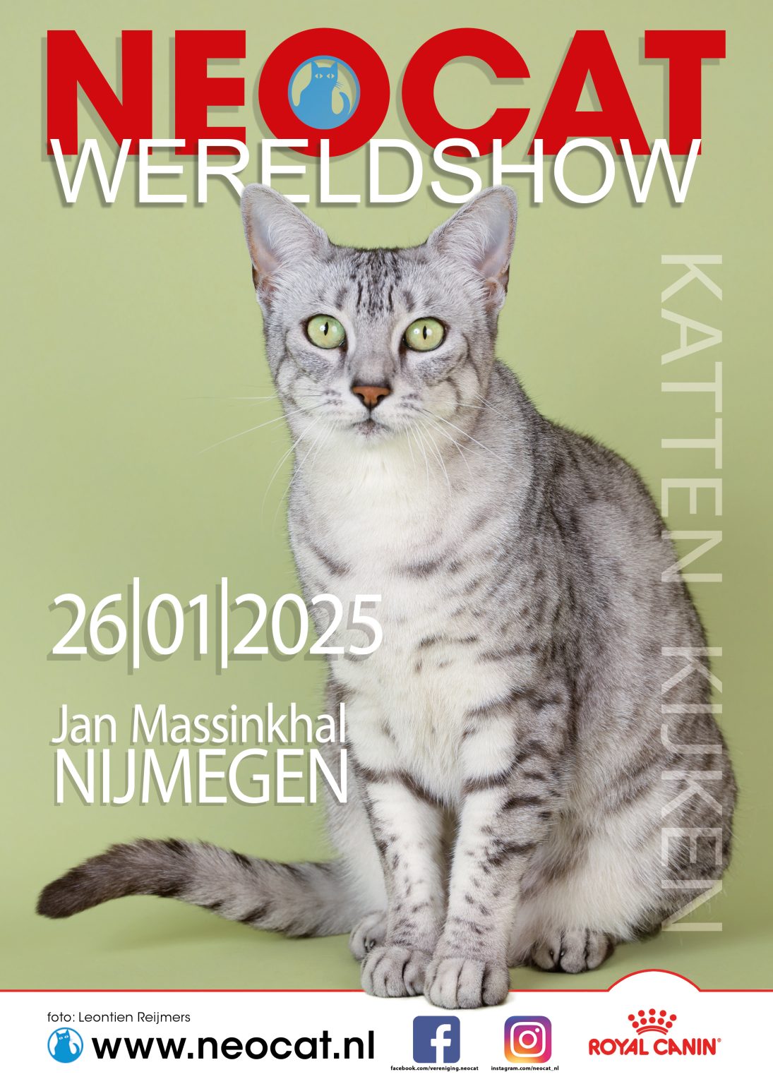 Shows | Neocat.nl