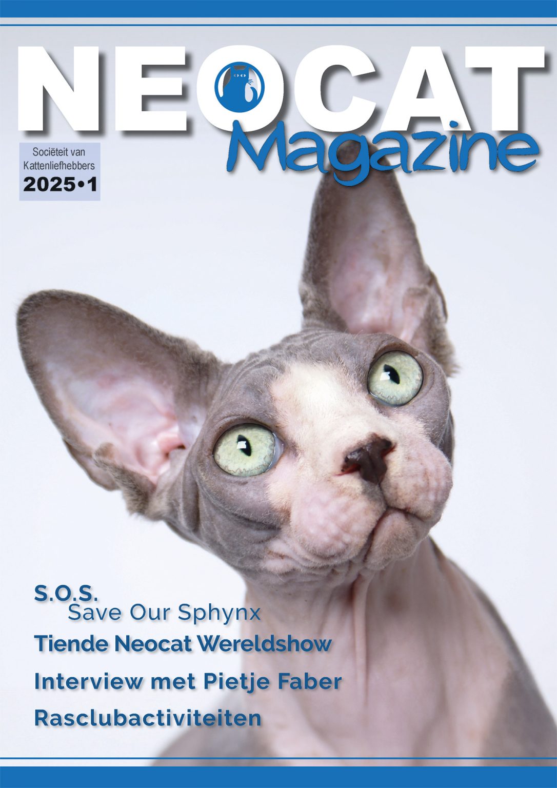 Nieuwtjes | Neocat.nl