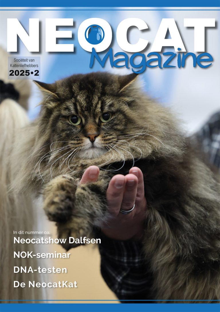 Nieuwtjes | Neocat.nl